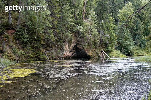 Mirror cliffs and an old river channel in a very beautiful forest in ...