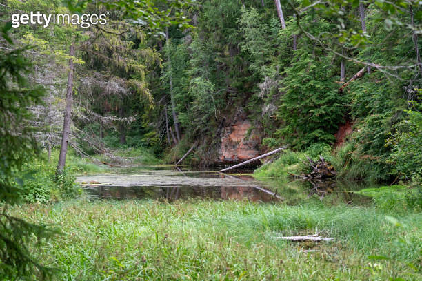 Mirror cliffs and an old river channel in a very beautiful forest in ...