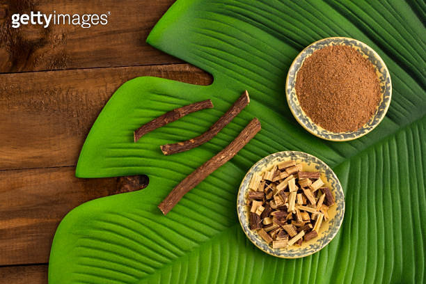 Ground stems of organic licorice - Glycyrrhiza glabra. 이미지 (1407004385 ...