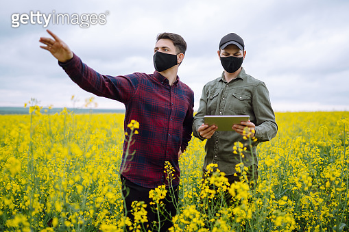 Farmers in sterile medical masks with tablet discuss agricultural ...