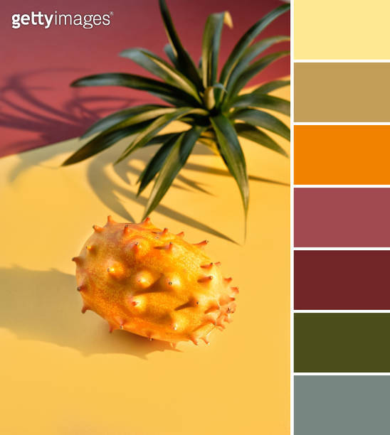 Color matching palette from image of dragon fruit, pitahaya, or ...