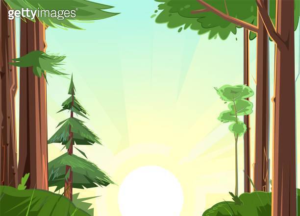 Frame trees with sunrise. Barrels and branches of plants. Coniferous ...