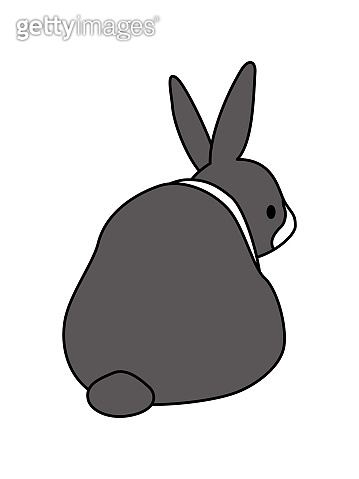 Back view of a sitting Dutch rabbit. 이미지 (1424150991) - 게티이미지뱅크