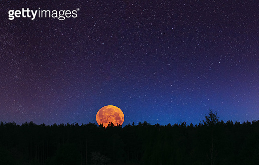 Red blood color Full Moon Rising In starry night stars sky above dark ...