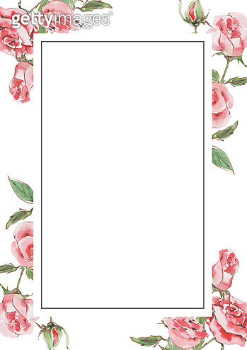 Blooming flowers of pink roses in a rectangular frame. Floral vertical ...