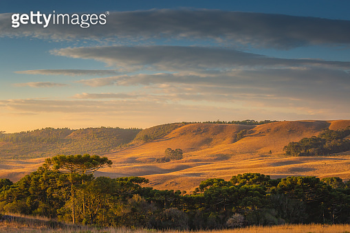 Southern Brazil countryside and meadows landscape at peaceful sunrise ...