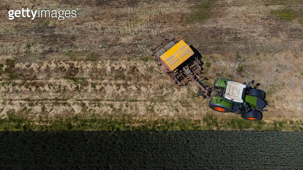 Benefitting the Insect Corridors 이미지 (1407514009) - 게티이미지뱅크