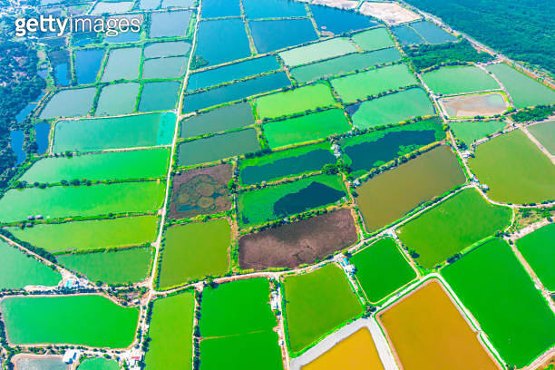 Aerial view fish ponds in Hong Kong border 이미지 (1403630367) - 게티이미지뱅크