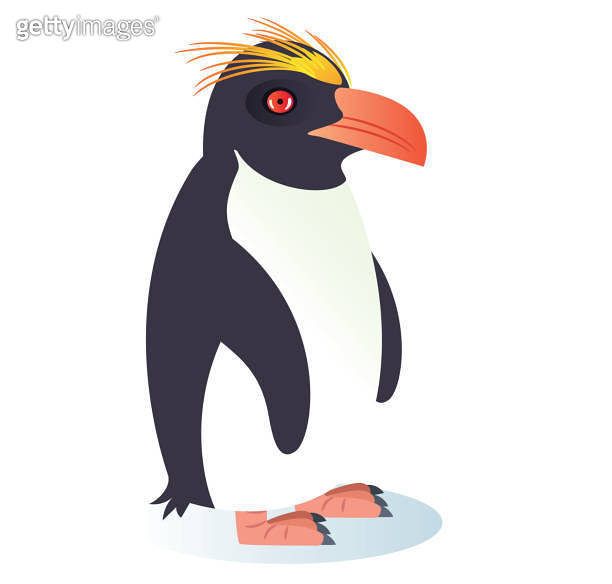 Macaroni penguin, Eudyptes chrysolophus 이미지 (1378538126) - 게티이미지뱅크