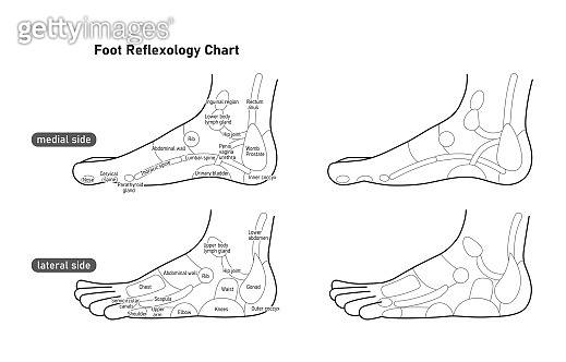 Illustration of the reflex zone and foot acupoint on the side of the ...