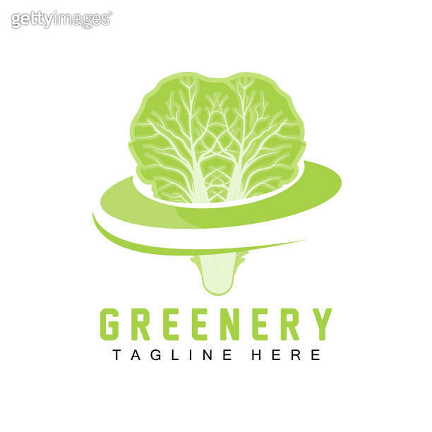 Chinese cabbage Logo Design Green Plant Vector Kimchi Food Ingredients ...