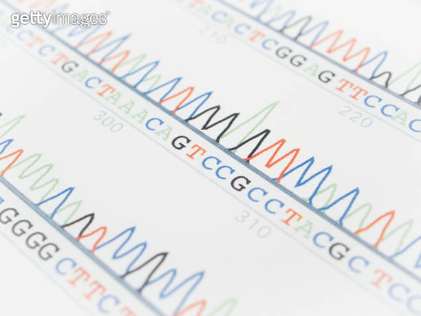Chart of nucleotide sequences (DNA sequences) 이미지 (1441910494) - 게티이미지뱅크