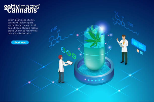 Cannabis, marijuana alternative medicine in research and development ...