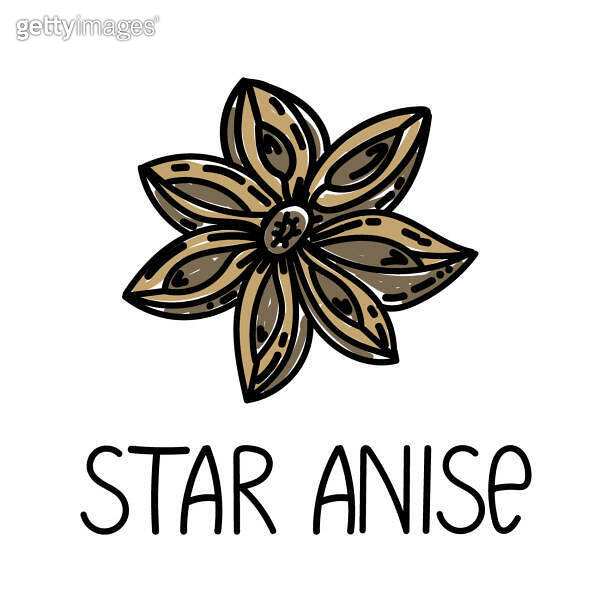 Star anise, hand-drawn doodle style element. Logo and emblem packaging ...