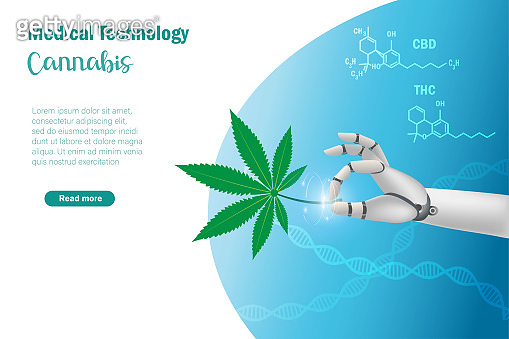Robot hand hold cannabis leaf with THC CBD molecular structure. Medical ...