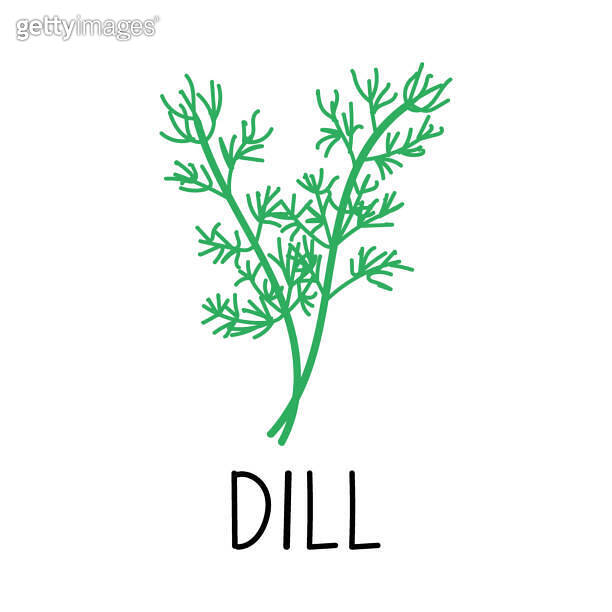 Dill, hand drawn element in doodle style. Logo and emblem packaging ...