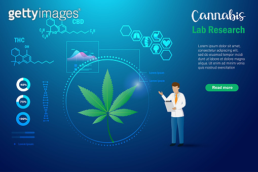 Scientist in laboratory analysing and research on cannabis, marijuana ...