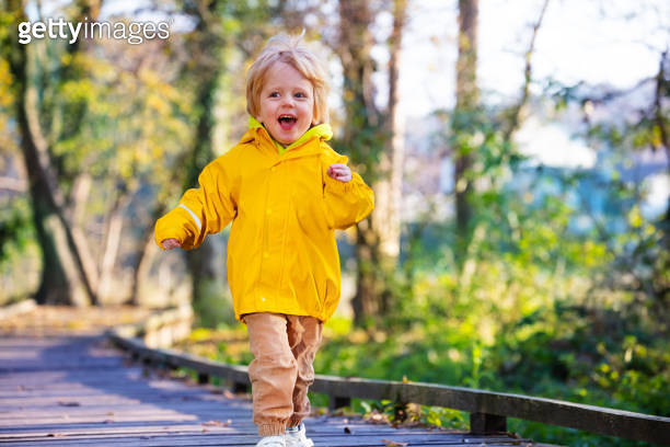 Little kid run in sunny autumn forest, screaming 이미지 (1369088352) - 게티이미지뱅크