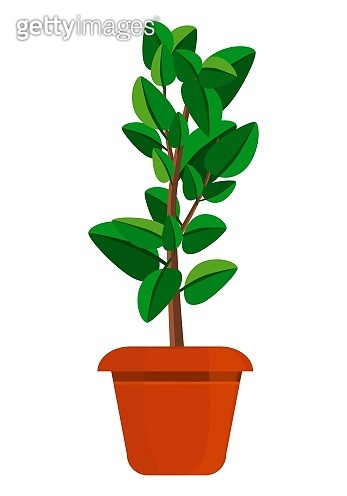 Indoor plant in a pot. Flower. Gardening, floriculture, botany. Cartoon ...