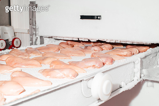 Modern poultry processing plant.Working factory line.Food industry ...