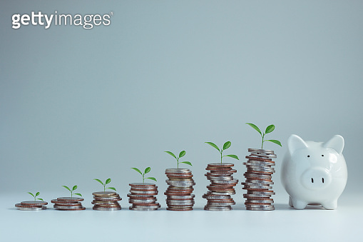 Financial and business background. Plant growing growth on coins with ...