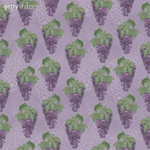 Seamless pattern of watercolor illustrations of grapes of grapes on a ...