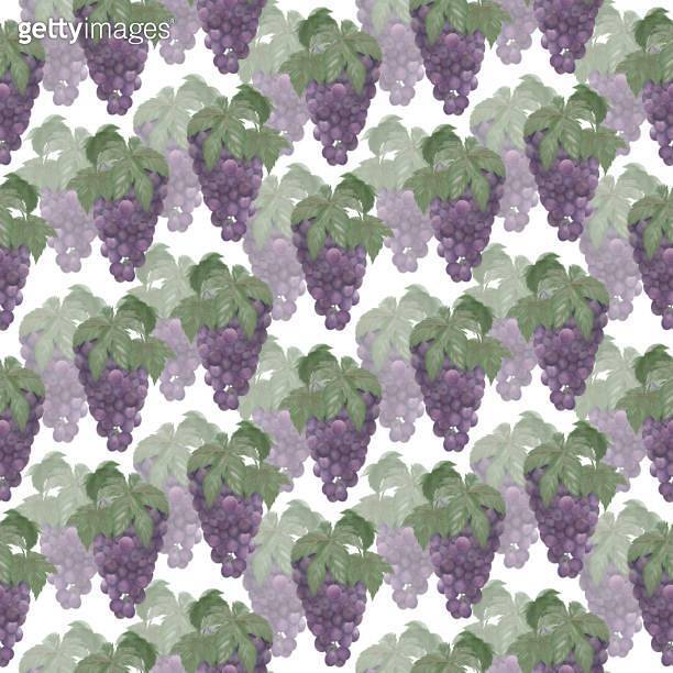 Seamless pattern of watercolor illustrations of bunches of purple ...