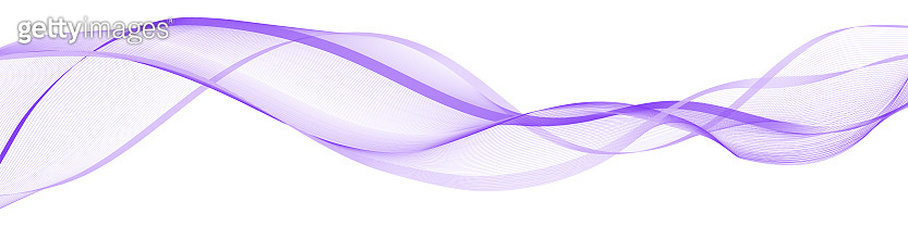 Purple wave swirl swoosh. Dynamic undulate motion, smooth flowing wave ...