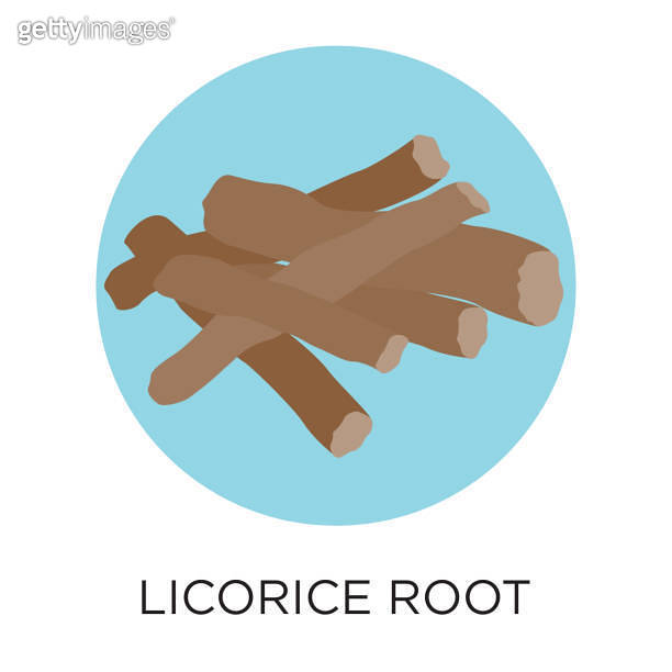 Licorice root vector icon, flat style illustration, circle design ...
