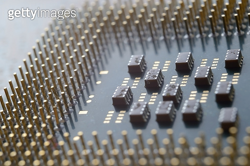 the microprocessor from the computer lies with its paws up. close-up ...