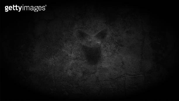 Foggy horror midnight view, blank spooky scary dark grey black gradient ...