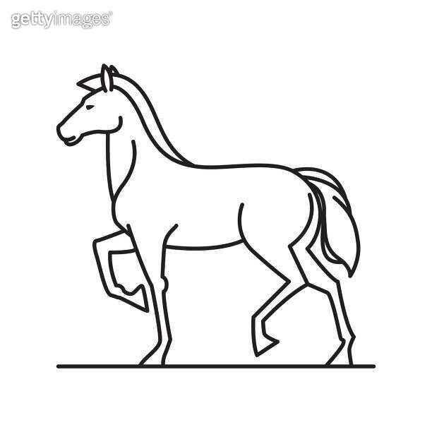 Simple horse line art drawing illustration. 이미지 (1390115484) - 게티이미지뱅크