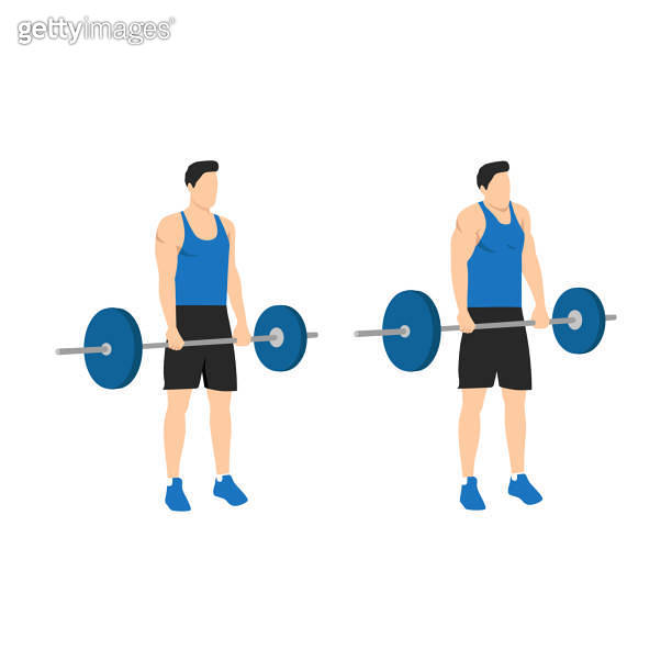 Man doing barbell shoulder shrug exercise. Flat vector illustration ...
