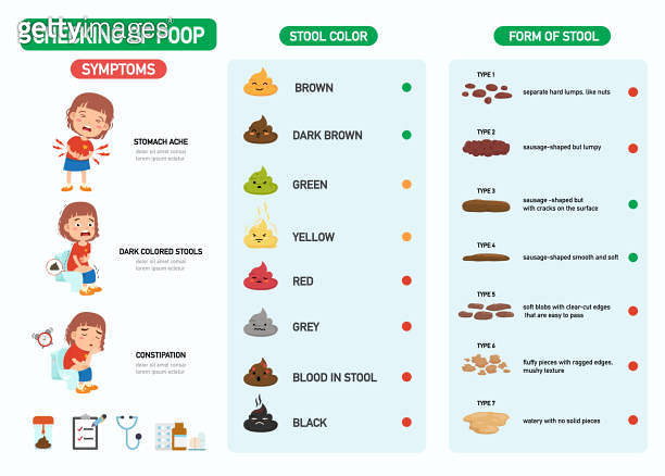 Poop infographic of stool forms and color with children girl characters ...