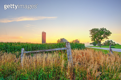 Farm Sunrise with corn field-fence and country road-Howard County ...