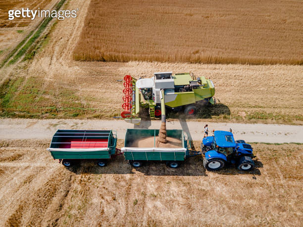 Combine Harvester emptying collected wheat into a container attached to ...
