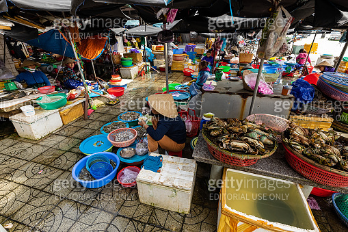 The traditional fish market of Hoi An in Vietnam 이미지 (1400393172) - 게티이미지뱅크