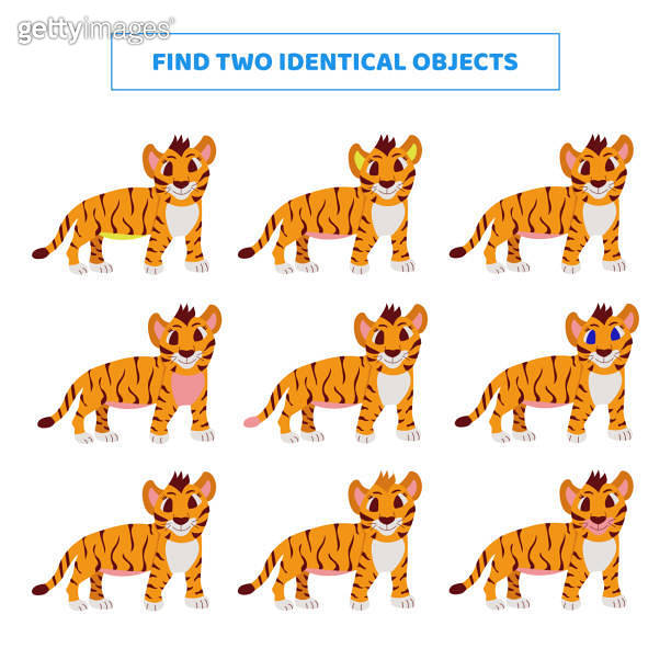 Matching game with cartoon tiger cub. 이미지 (1371750768) - 게티이미지뱅크