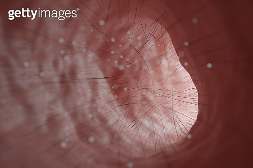 Pm 2.5 dust The germs through the nasal cavity. covid 19 corona virus ...