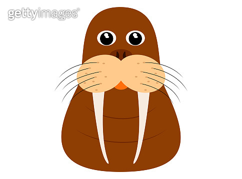 Cute cartoon walrus face isolated on white, vector illustration ...