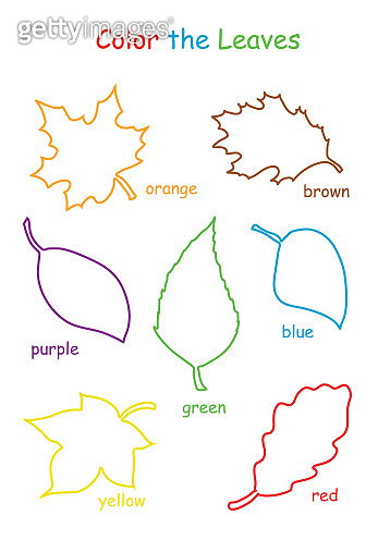 Coloring Worksheet. coloring pages for kids color the leaves. remember ...