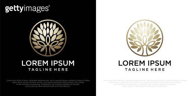 Tree logo design. Garden plant natural symbols template. Tree of life ...