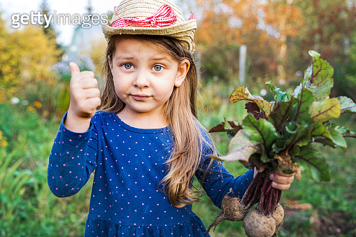 Kid,girl in straw hat dig,collect,pick up harvest of beet, beetroot ...