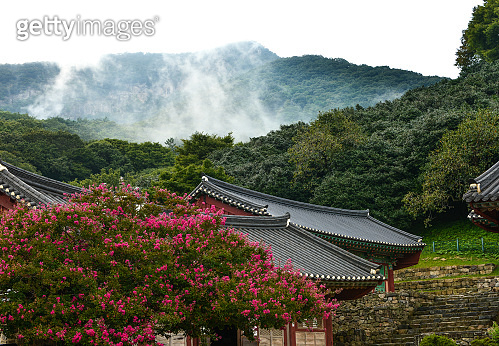 Morning scenery of Gochang Seonunsa Temple in full bloom 이미지 ...