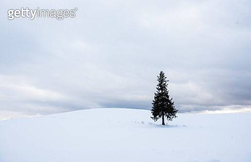 Mysterious snow scene in Biei, Hokkaido, Japan 이미지 (1366360961) - 게티이미지뱅크