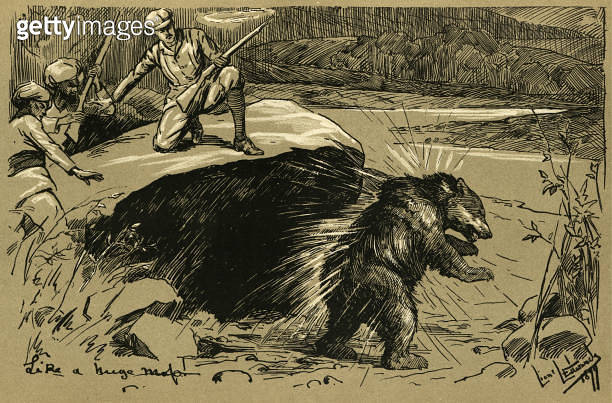 Hunter shooting a bear, Kashmir, Victorian hunting sports, 1890s, 19th ...
