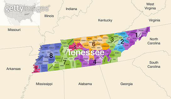 Tennessee state counties colored by congressional districts vector map ...