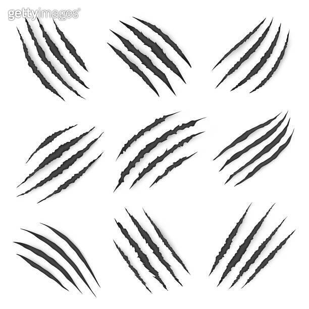 Predator, wild animal claw marks, vector scratches 이미지 (1390421362 ...