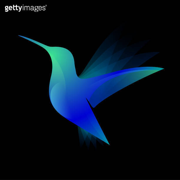 Colibri bird/hummingbird emblem. Small bird flapping its wings. Tropic ...