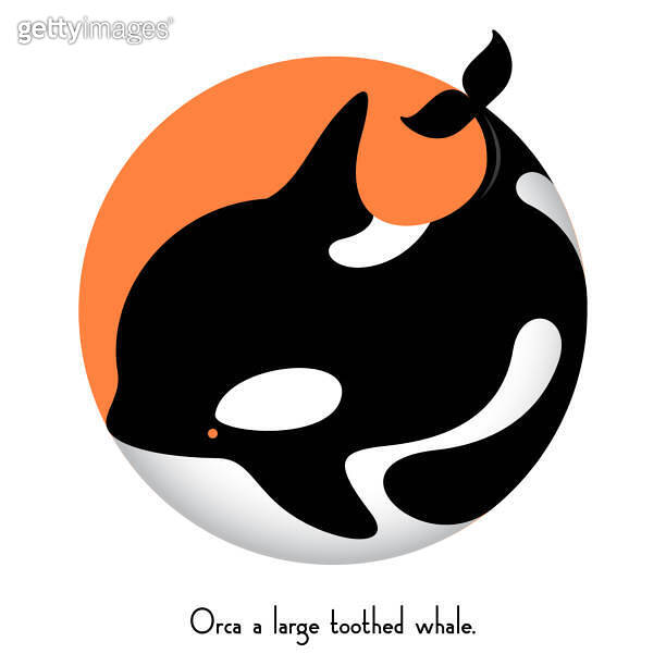 Orca whale illustration. Orca icon. Ocean animal emblems. Whale on ...